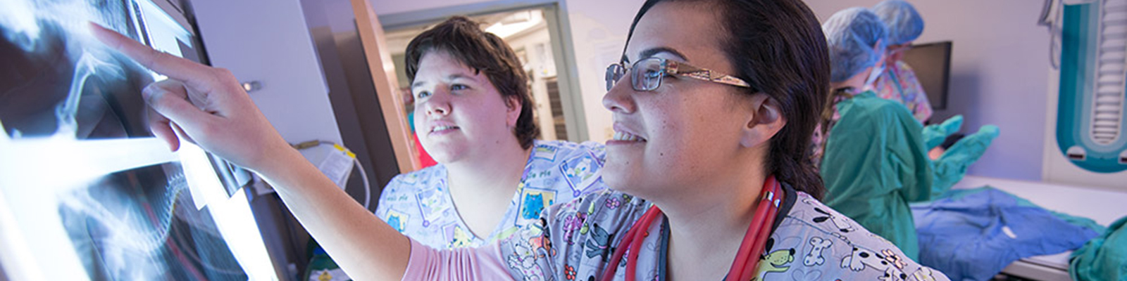 Veterinary Licensure - University of Maine System