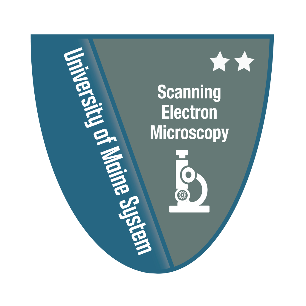 Scanning Electron Microscopy - University of Maine System