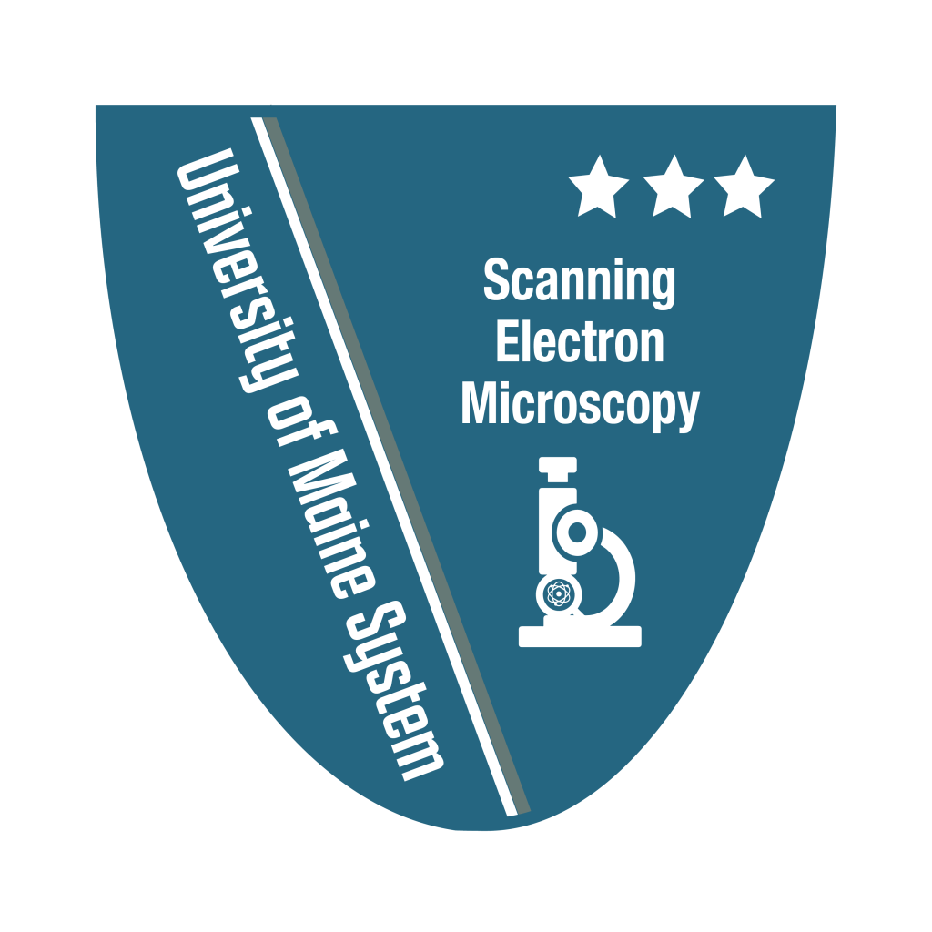 Scanning Electron Microscopy - University of Maine System