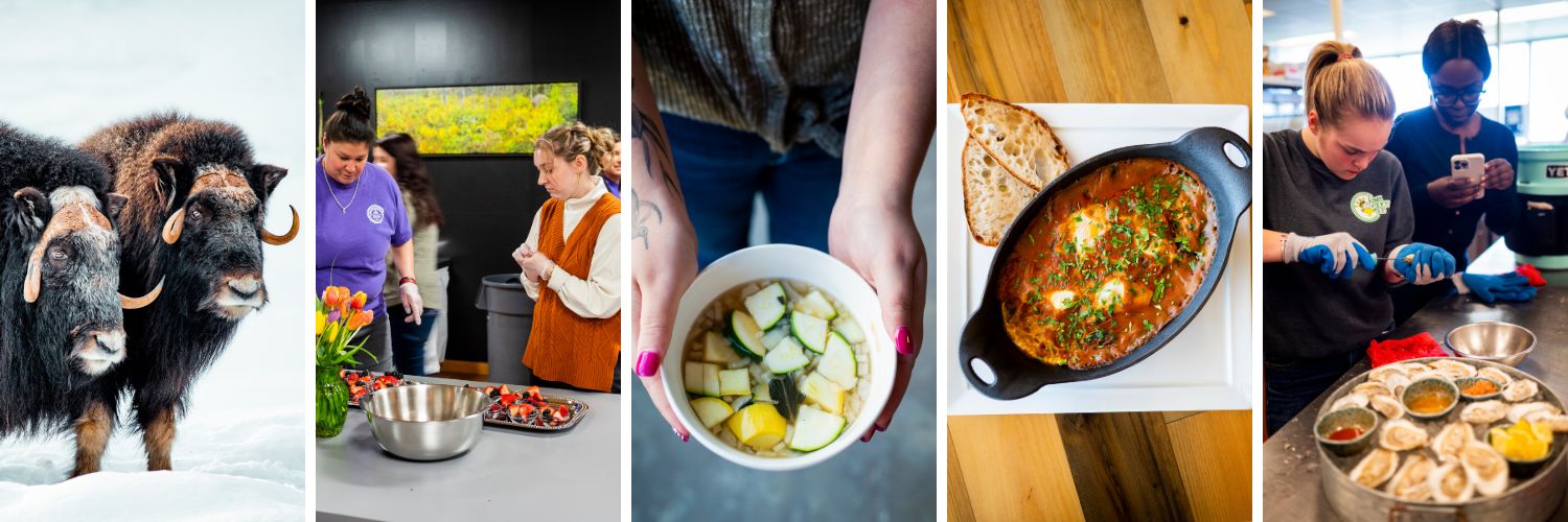 Arctic Education Alliance Cookbook Project - University of Maine System